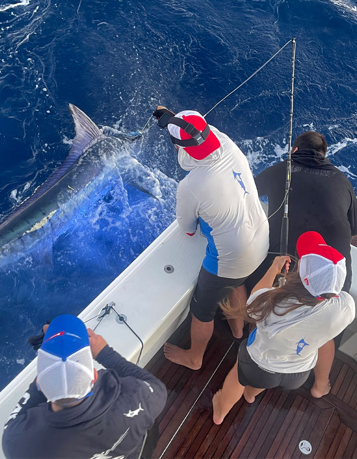Salt Water Fishing - Kuranui Estate - New Zealand